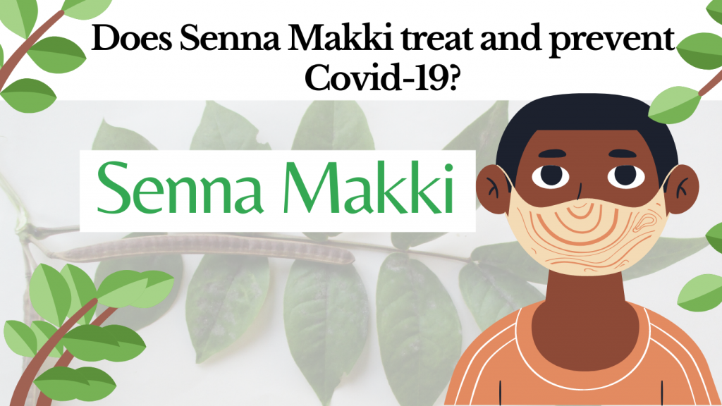 Does Senna Makki Treat And Prevent Covid-19? Myths, Uses, Benefits And ...