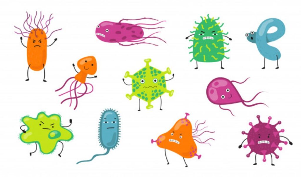 A brief overview of denitrifying bacteria - Daily Medicos