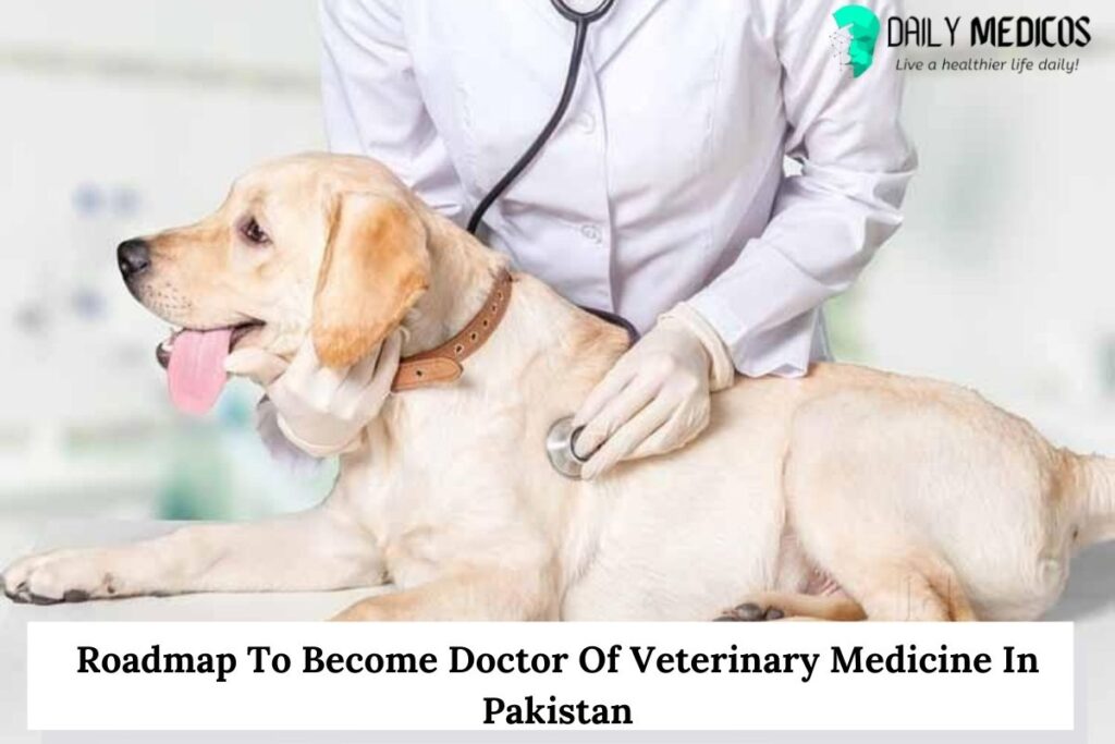 Roadmap To Become Doctor Of Veterinary Medicine In Pakistan - Daily Medicos