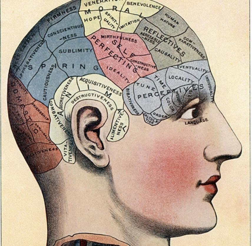 Hemianopia Everything You Need To Know About Hemianopia Types Hemianopia Everything You Need To Know About Hemianopia Types